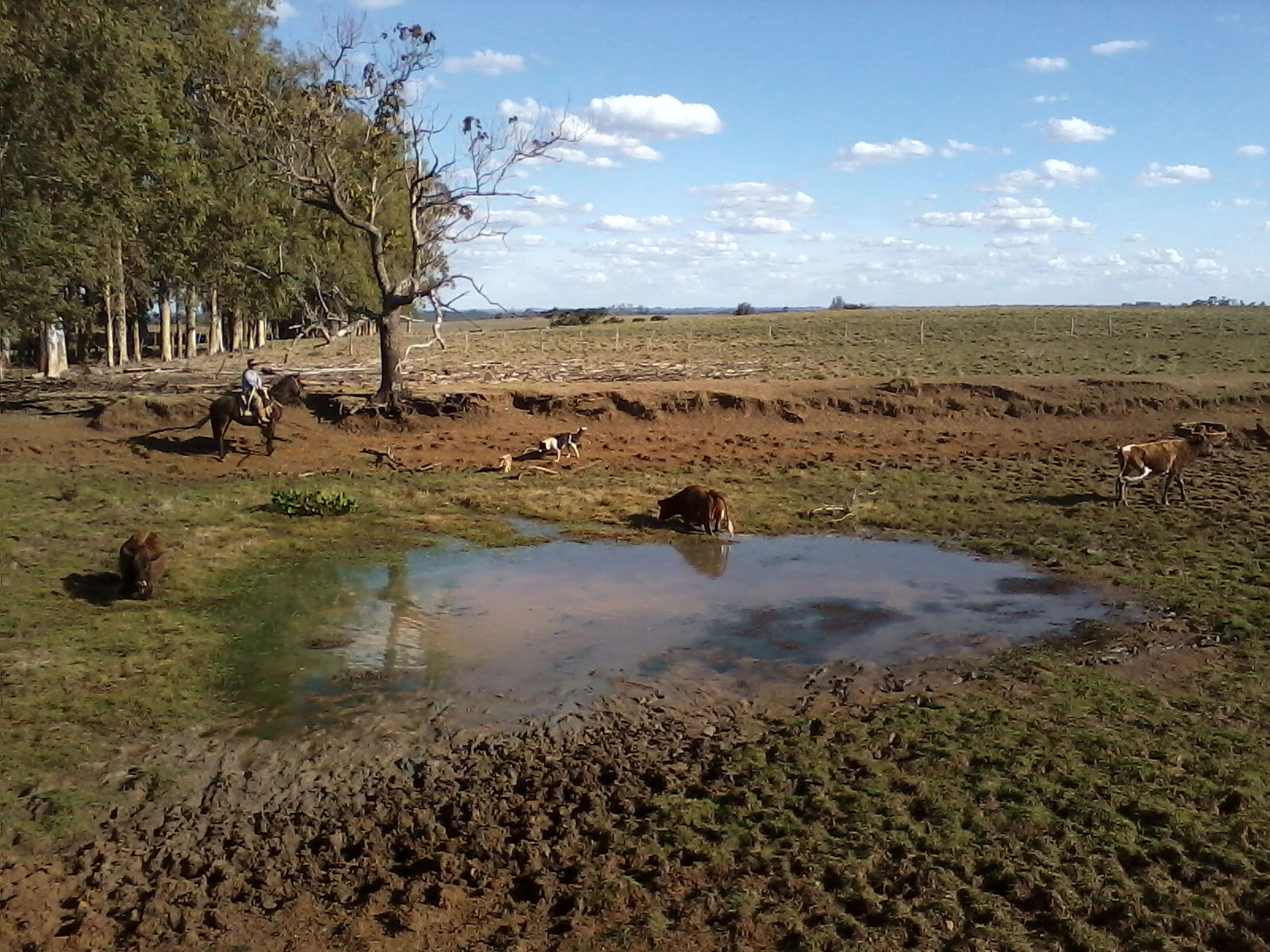 Blog do André Nascimento: Imagens da Seca.